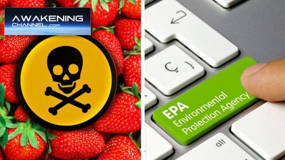 The first EPA database about pesticides harm — AWAKENING CHANNEL