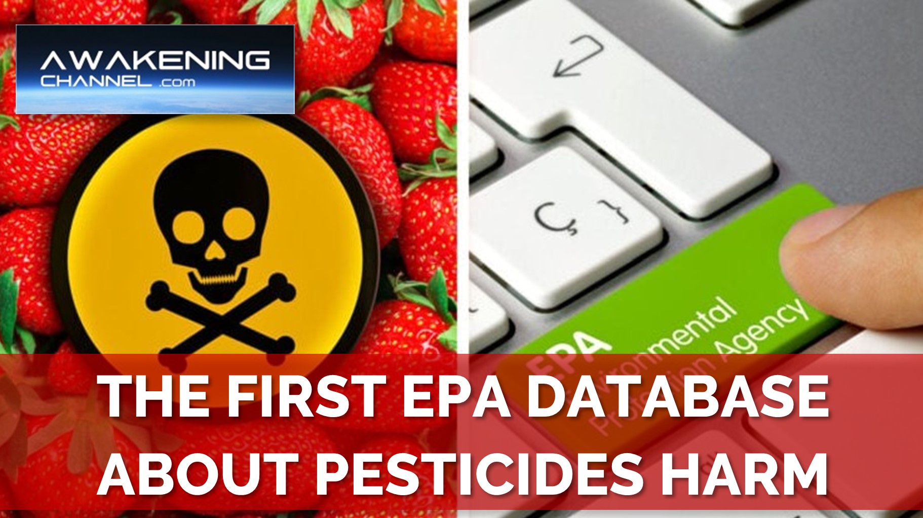 The first EPA database about pesticides harm — AWAKENING CHANNEL