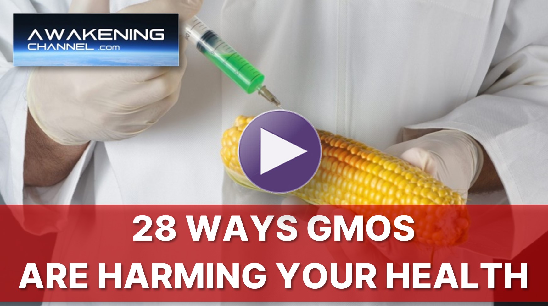 28 Ways GMOs Are Harming Your Health and the New GMO 2.0 Superthreat — AWAKENING CHANNEL